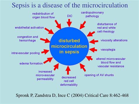 Ppt Classification Of Microcirculatory Abnormalities In Distributive