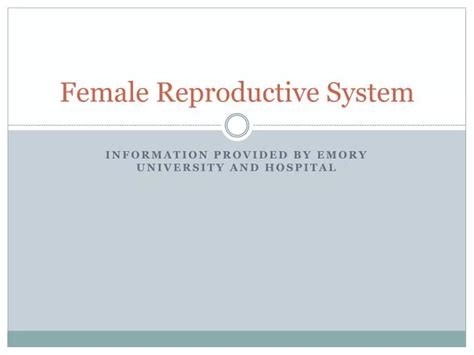 PPT Female Reproductive System PowerPoint Presentation Free Download ID
