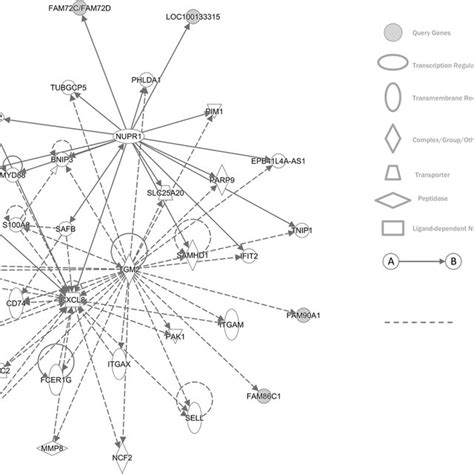 Copy Number Variation Analysis Significant Cnv Regions Are Labelled On Download Scientific