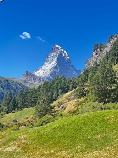 경치 경치가 좋은 고요한 관광 광야 구름이없는 낮 눈 맑은 하늘 모험 발레 발레 스위스 봉우리 사진 산 산맥 상징적인 숲 스위스 스위스