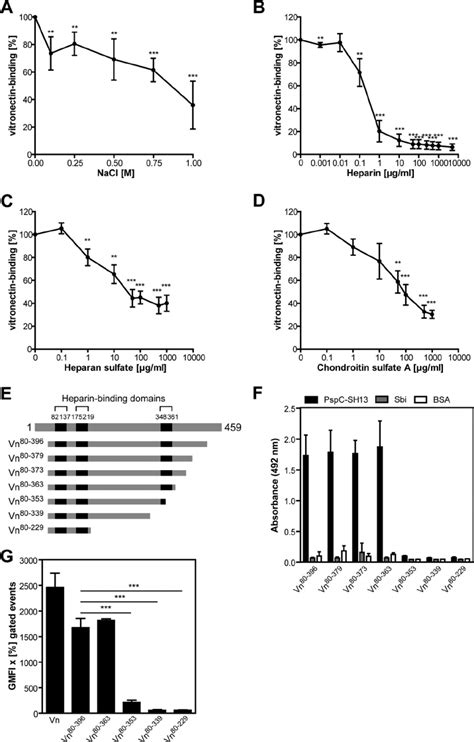 C Terminal Heparin Binding Domain Of Vitronectin Mediates Binding To Download Scientific