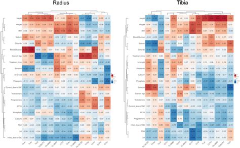 Correlations After Clustering Between Clinical Characteristics And