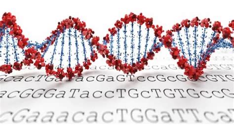 Genomics Data Analysis In Sonipat Id 16978196655