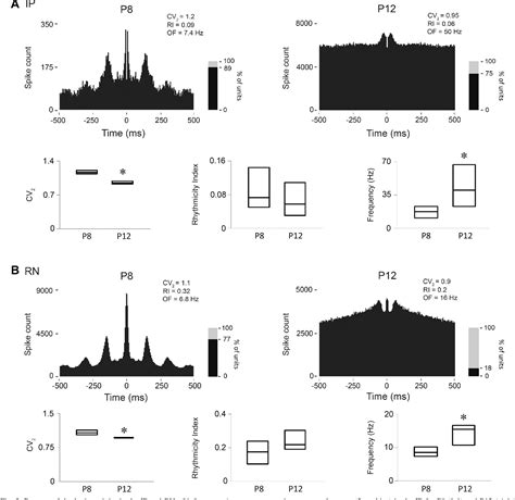 Figure 3 From Spontaneous Activity And Functional Connectivity In The