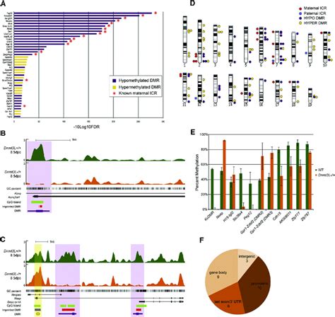 Medip Seq Screen For The Identification Of Oocyte Dependent Dmrs Using