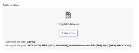 accepted file types efile and serve texas
