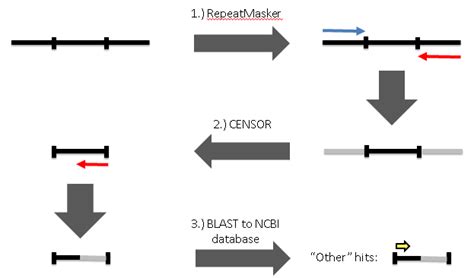 2 Nested Annotation Workflow Regarding The Characterization Of