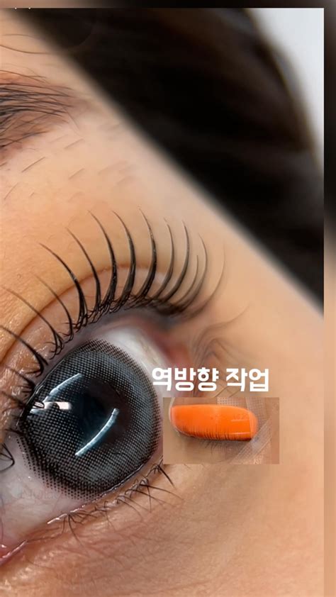 서면속눈썹펌수강 전포동속눈썹펌 부산속눈썹펌 드모이 제가 제일 애정하는 롯드로 영상을 보시면 롯드의 위치가 다른걸 보실 수 있어요 한쪽은 역방향으로 한쪽은