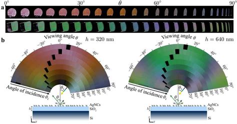 Direct Visual Demonstration Of The Two Color Iridescence Phenomenon