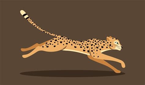 Premium Vector Cute Running Leopard Colorful Poster With Fast Running Cheetah Spotted Predator