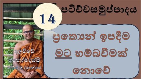 පටිච්චසමුප්පාදය 14 ප්‍රත්‍යෙන් ඉපදීම නුවණට ගෝචර මිස මට හම්බවීමක් නොවේ උපාදාන පච්චයා භව Youtube