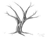 Broken Tree Drawings SketchPort