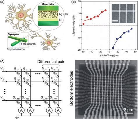 A Mimicking The Biological Synapse Using A Single Memristor Device Download Scientific