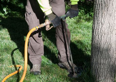 Photo Gallery Arbortec Tree Service