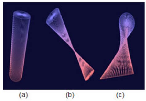 Figure 2 From A Survey Of Computer Based Deformable Models Semantic