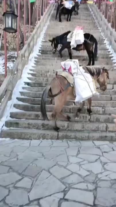 shristi roy posted on linkedin