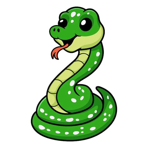 premium vector cute green tree python cartoon