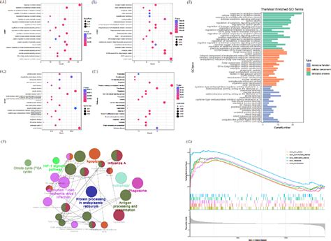 Figure 4 From Construction Of Molecular Subtype Model Of Osteosarcoma