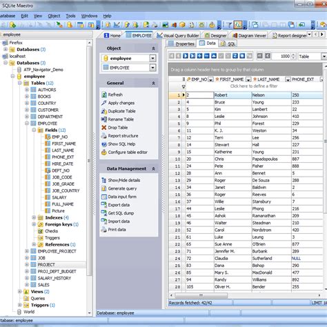 Sqlite Maestro Alternatives And Similar Software