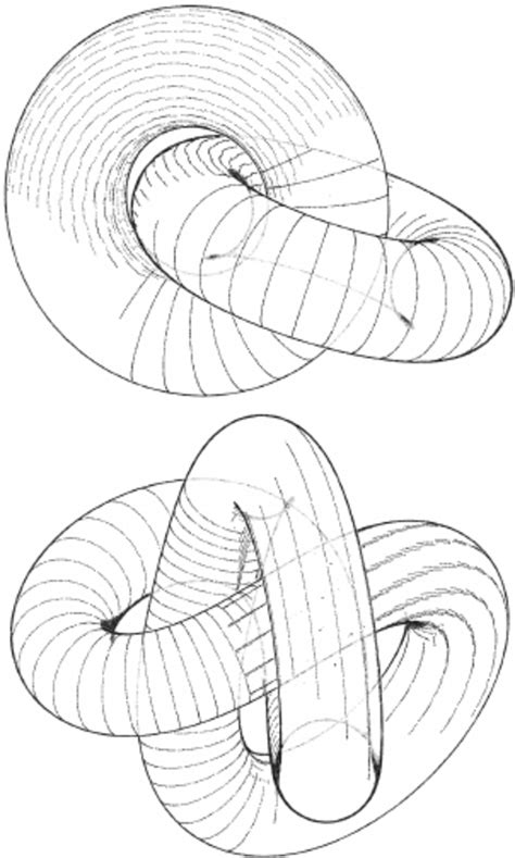 First And Second Principal Directions Of Curvature Ap Plied Locally On
