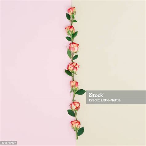 장미로 만든 창조적 인 레이아웃 자연 개념 꽃 인사말 카드 0명에 대한 스톡 사진 및 기타 이미지 0명 개념 공휴일 Istock