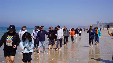 보령시 2024년 대천해수욕장 슈퍼어싱 해변맨발걷기 개최