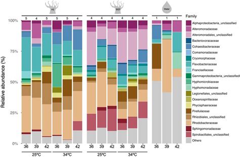 taxonomy bar chart of bacterial families greengenes database