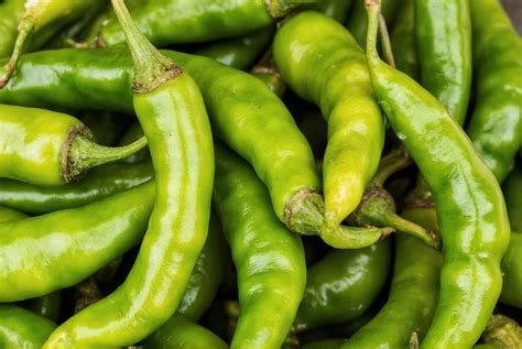 Pepper Seeds Edibility Growing Guide And Seed Saving Tips