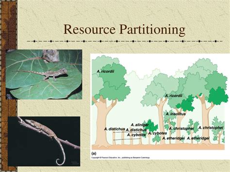 Ppt Community Ecology Powerpoint Presentation Free Download Id 6567298