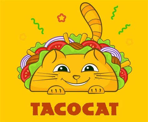 Pratique De Lalgorithme Vérifier Si Une Chaîne Est Un Palindrome