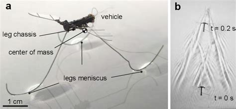Figure 1 From High Speed Interfacial Flight Of An Insect Scale Robot
