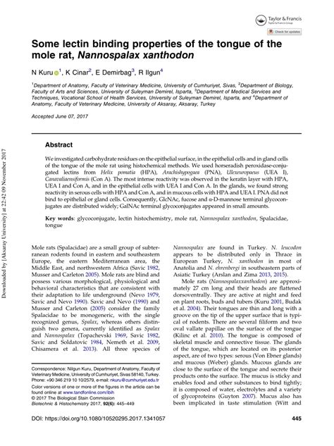 Pdf Some Lectin Binding Properties Of The Tongue Of The Mole Rat Nannospalax Xanthodon