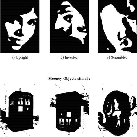 Sample Stimuli From The Noise Pareidolia Test And Pareidolia Task Download Scientific Diagram