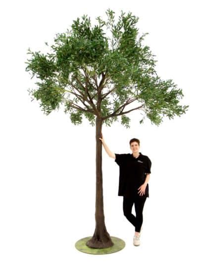 Extra Tall Tree Trunk M Ficus EPH Creative Event Prop Hire