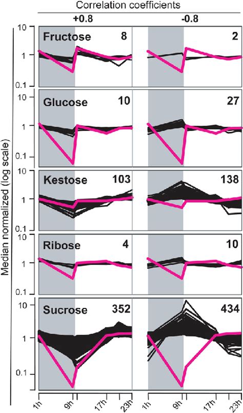 correlation of sugar contents and expression profiles profiles of the