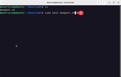 Linux Install The Agent With Credentials Graphical User Interface