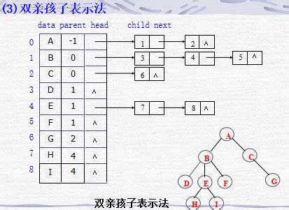 数据结构与算法 树和二叉树 LieDra 博客园