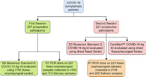 Flowchart Showing The Sample Size And The Steps Of Rapid Testing And Download Scientific