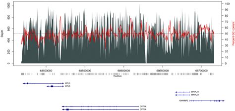 Read Depth Plot Of A Chromosome 11 Target For A Sample Showing Median