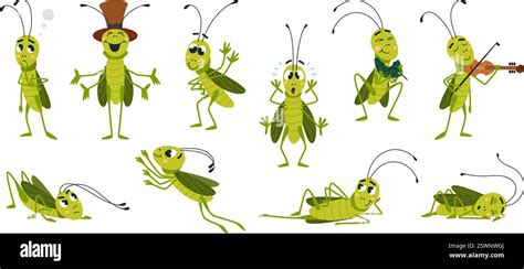 Cartoon Grasshopper Isolated Grasshoppers In Different Poses And