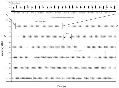 Continuous Spectrogram Example Of A Fin Whale Calling Bout Time S Is Download Scientific