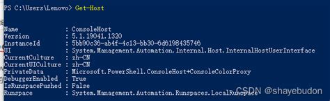 内网渗透 powershell简介 powershell脚本的扩展名 csdn博客