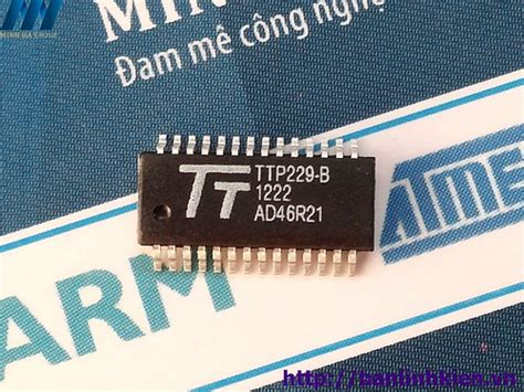 Ttp229 Bsf Ssop28 Ic Touch Pad