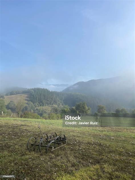 나무가 있는 초원 이른 아침 안개가 자욱한 시골 환경에서의 오래된 쟁기와 농기구 0명에 대한 스톡 사진 및 기타 이미지 0명 경관 계곡 Istock