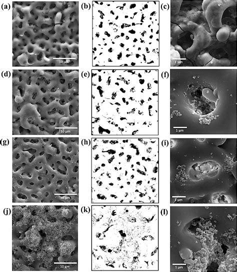 FE SEM Surface Morphology For Samples Z0 A C Z1 D F Z2 G I And Download Scientific