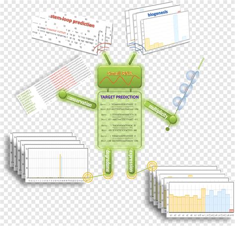 Non Coding Rna Microrna Rna Seq Bioinformatics Technology Angle Non Coding Rna Microrna Rna Seq Bioinformatics Technology Angle