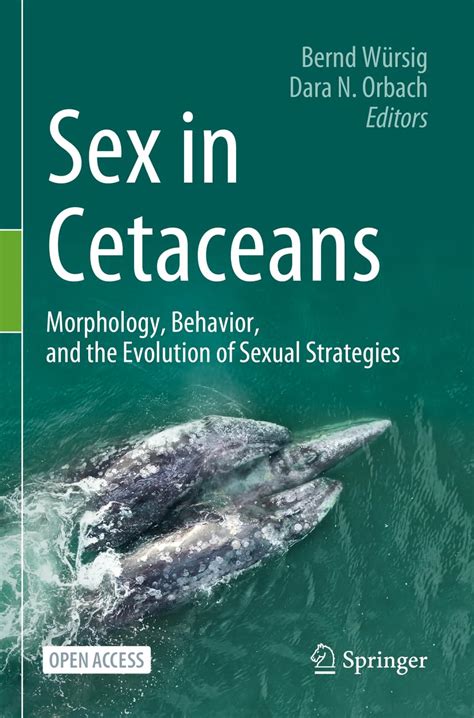 Sex In Cetaceans Morphology Behavior And The Evolution Of Sexual Strategies