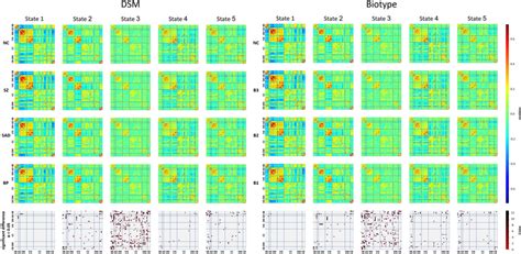 Dynamic States Of Four Groups Of Dsm‐iv And Biotype Categories Averaged