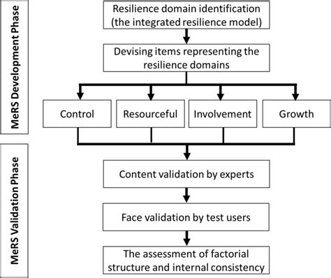 The Flow Chart For The Development And Validation Process Download