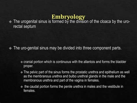 Urinary Bladder Conditions Ppt